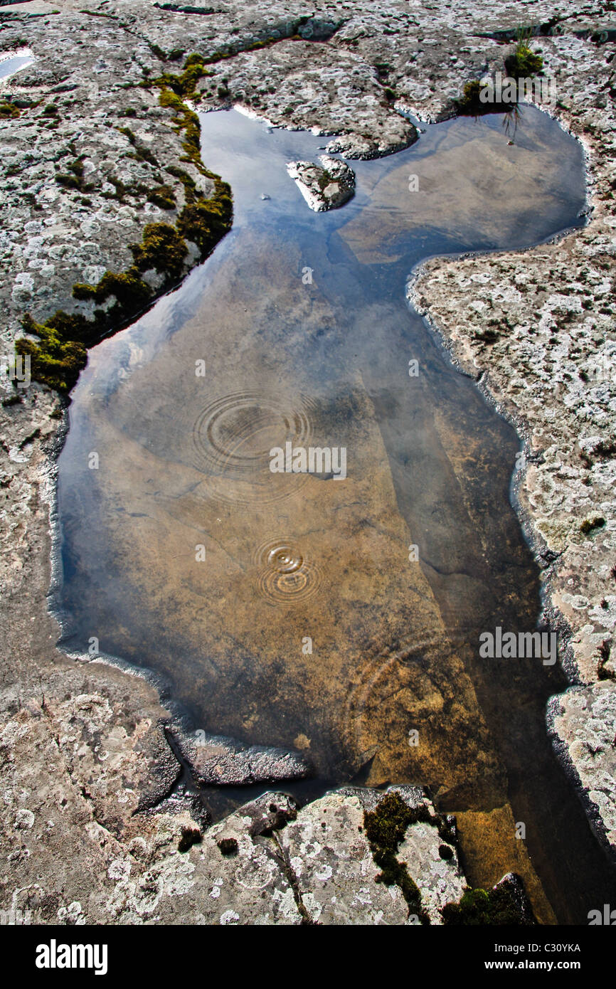 puddle in the granite rocks Stock Photo - Alamy