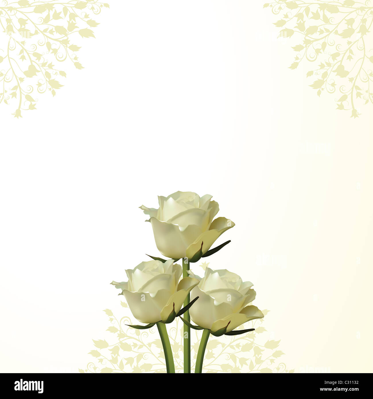 Ivory roses and flourishes on a cream background Stock Photo - Alamy