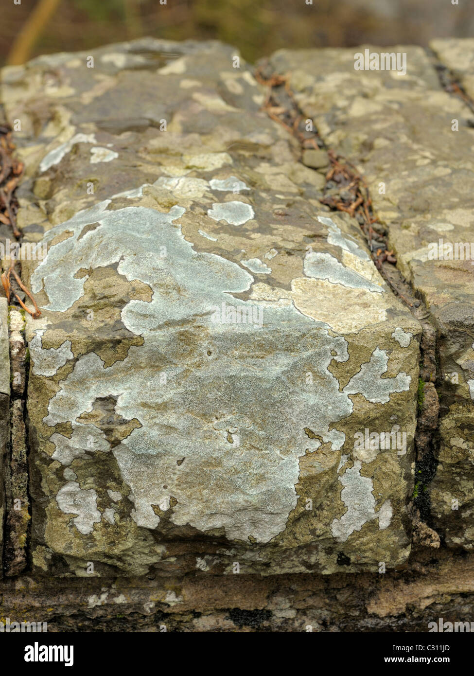 Capstone hi-res stock photography and images - Alamy