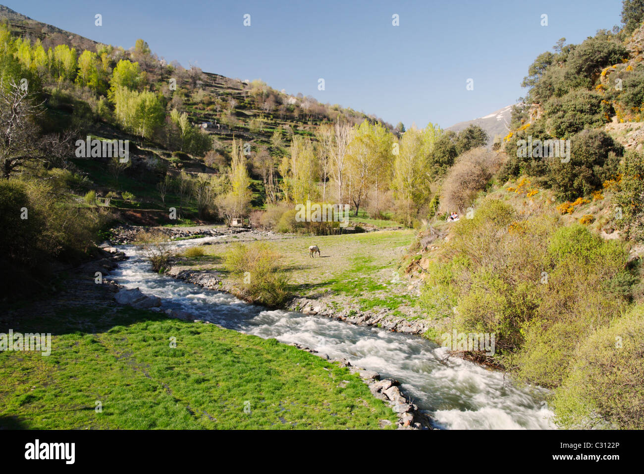 River Trevelez near Trevelez village in La Alpujarra region of ...