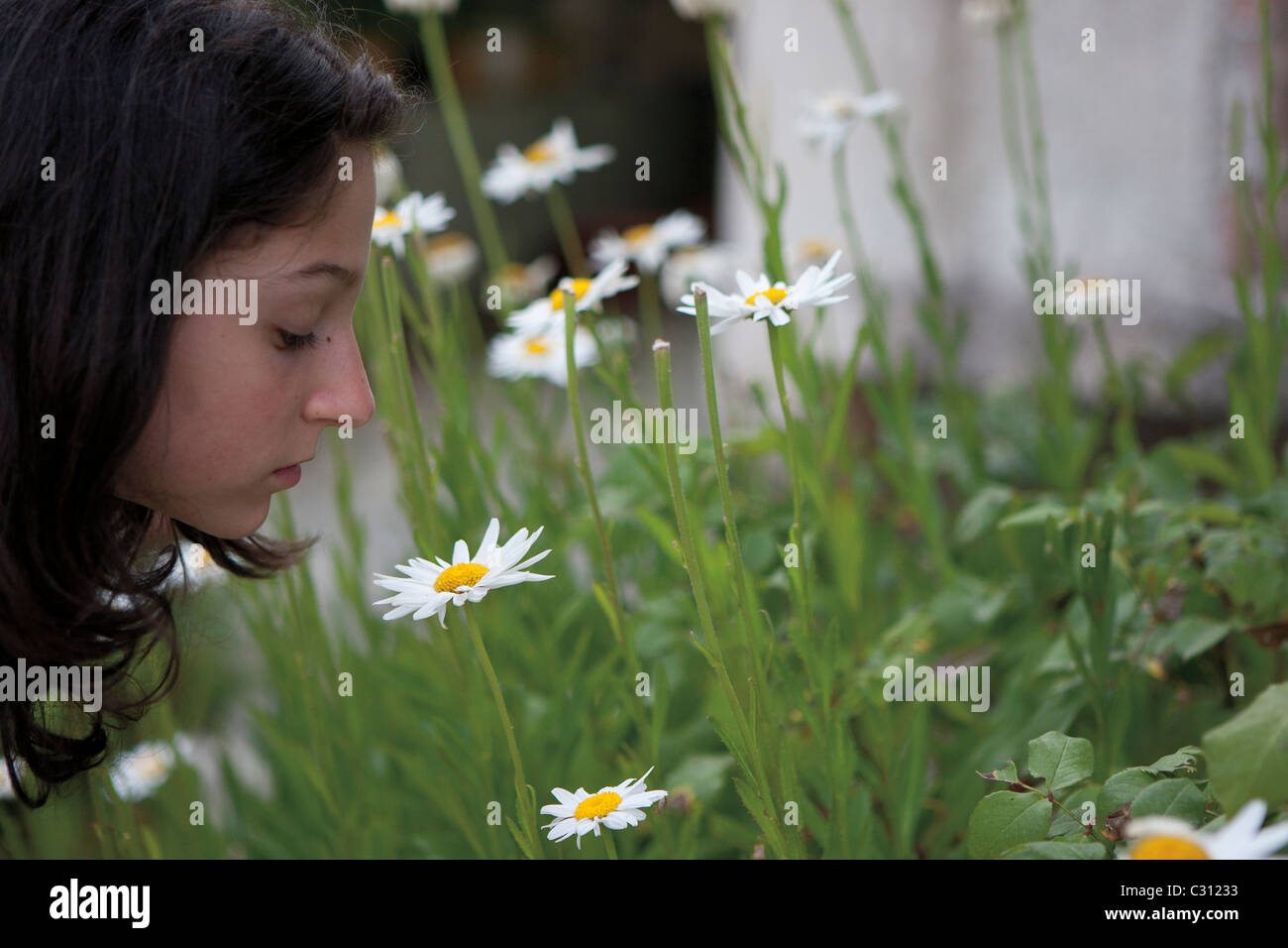 A cute girl smell some really big daisies in Neromylos's tavern. Dhiava ...