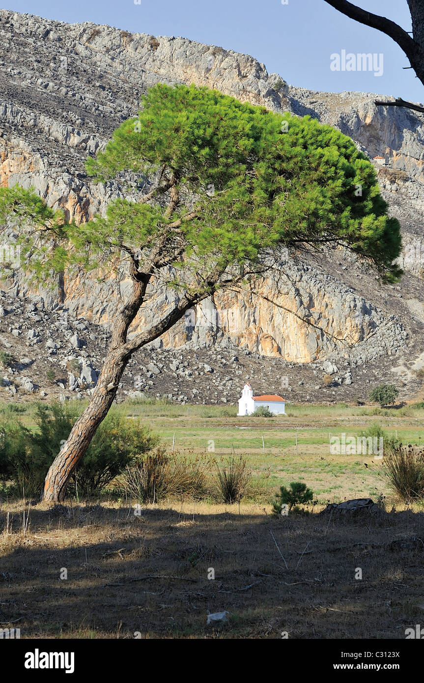 A tiny church and an umbrella pine are the symbols of Strofylia ...