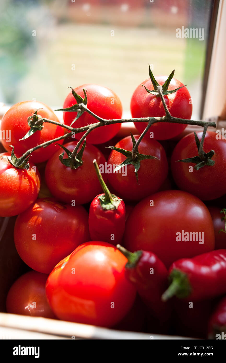 Chillies window sill hi-res stock photography and images - Alamy