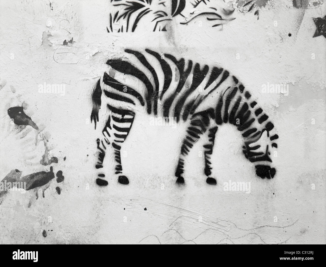 Zebra stripes flies hi-res stock photography and images - Alamy