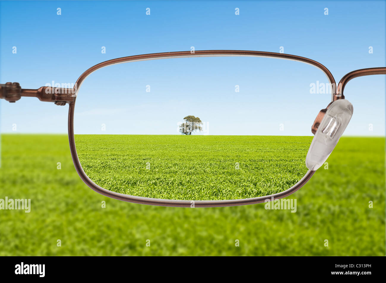 Using glasses to focus on a tree Stock Photo - Alamy