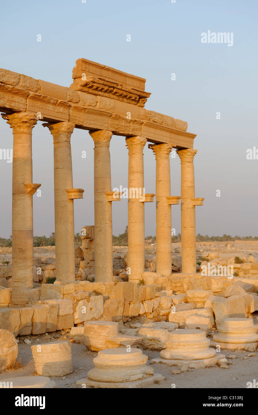 Palmyra. Syria. Pillars and porticoes line the upper section of the ...