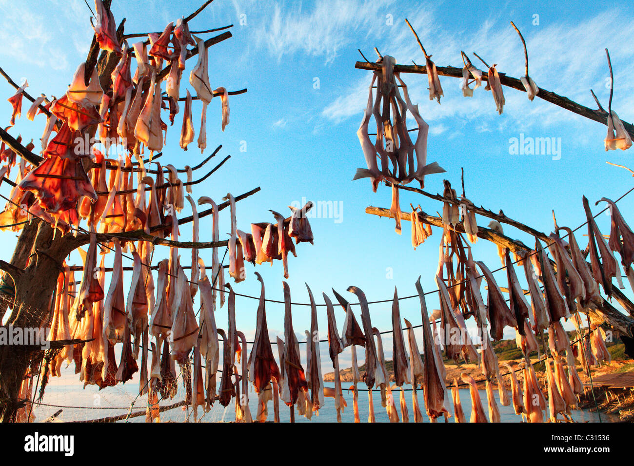 Hanged fish hi-res stock photography and images - Alamy