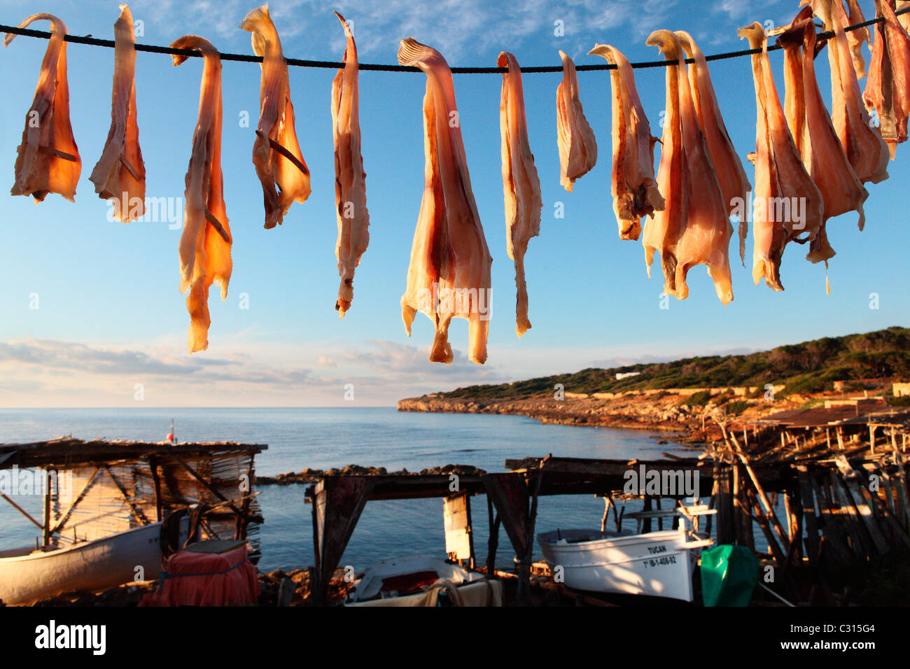 Peix Sec, dried fish hanged by fishermen in the island of Formentera ...