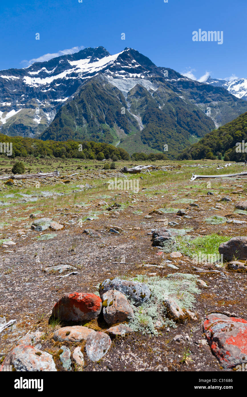 Alpine new zealand hi-res stock photography and images - Alamy