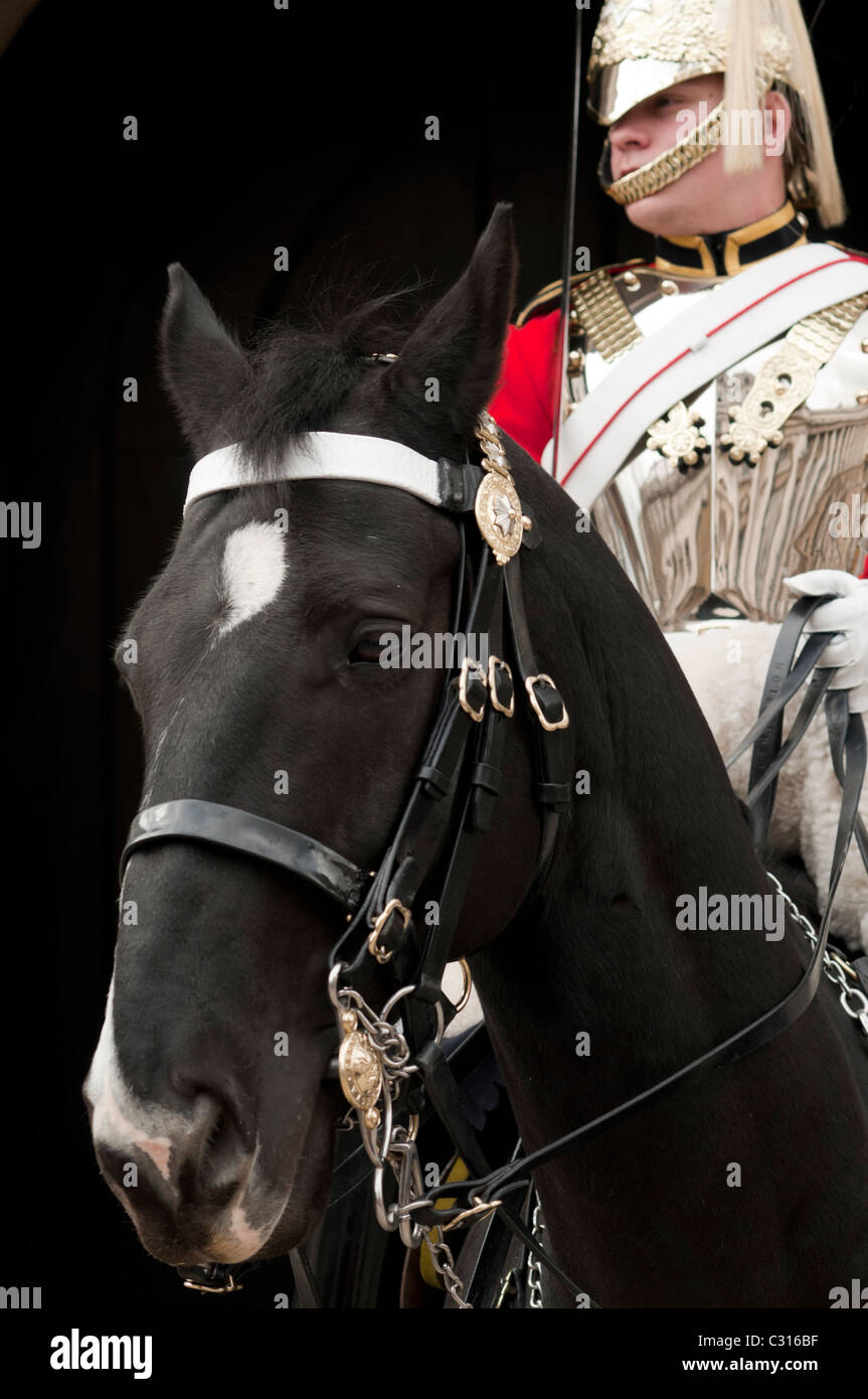 Queens life guards hi-res stock photography and images - Alamy