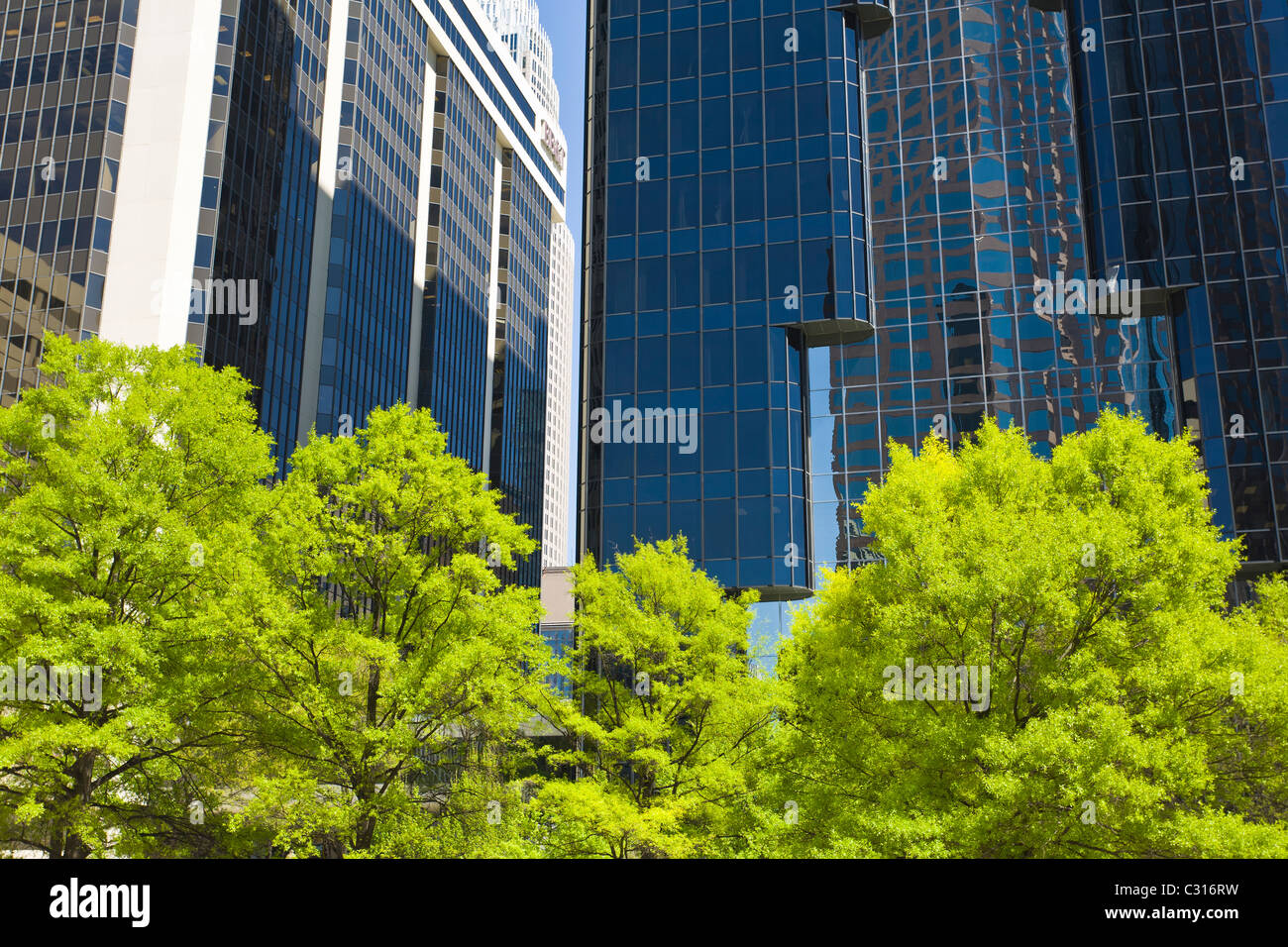 Modern buildings in downtown Charlotte North Carolina Stock Photo - Alamy