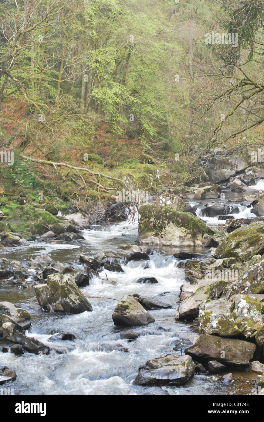River Braan at the Hermitage near Dunkeld Stock Photo - Alamy