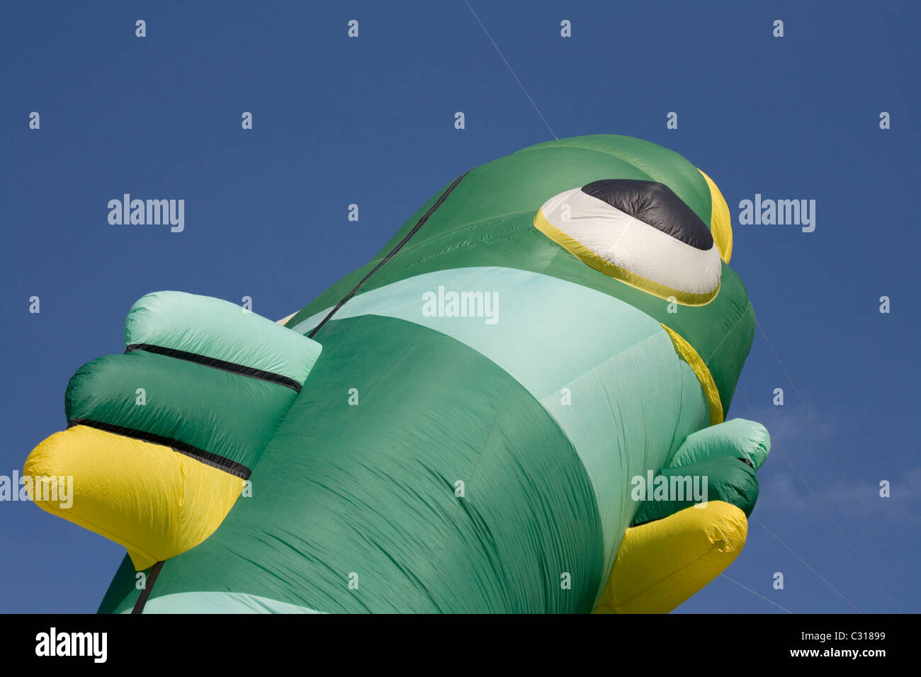 A large green fish shaped kite at Streatham Park family kite day Stock ...