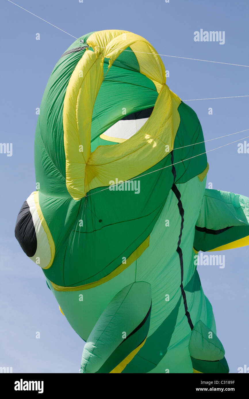 A large green fish shaped kite at Streatham Park family kite day Stock ...