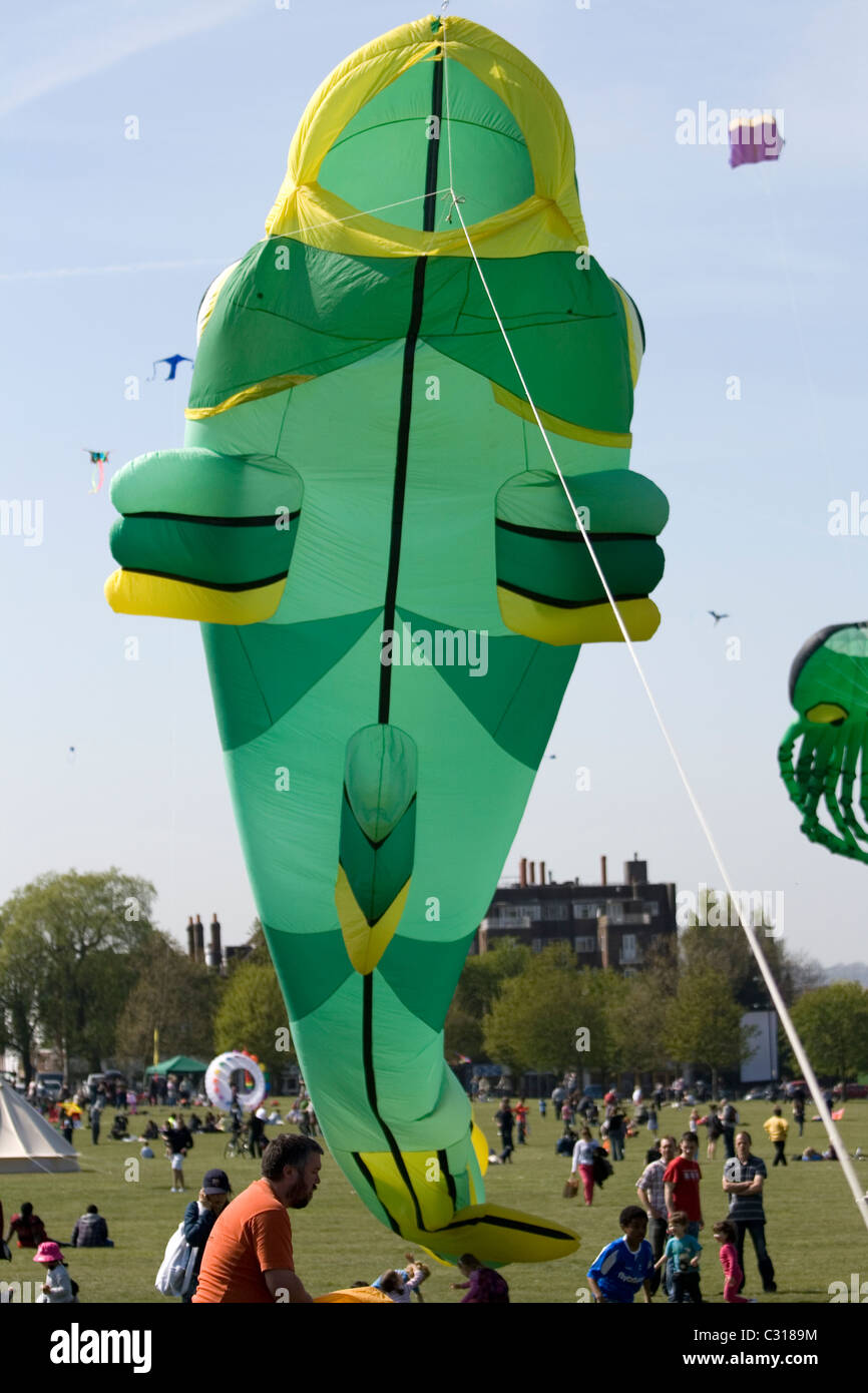 A large green fish shaped kite at Streatham Park family kite day Stock ...