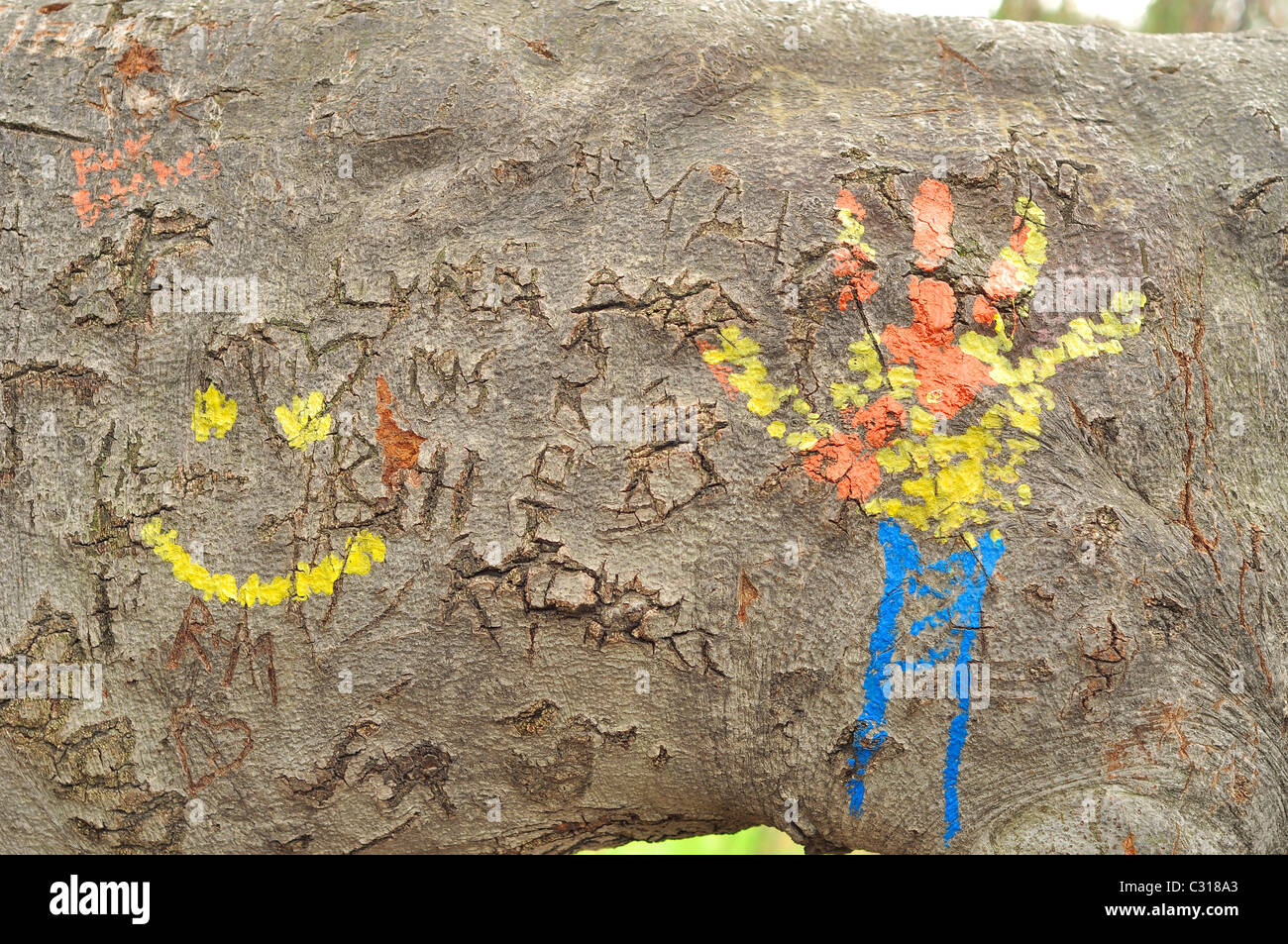 Bark painting hi-res stock photography and images - Alamy