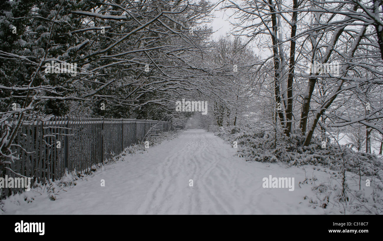 Winter Wonderland. A path to somewhere magical Stock Photo - Alamy
