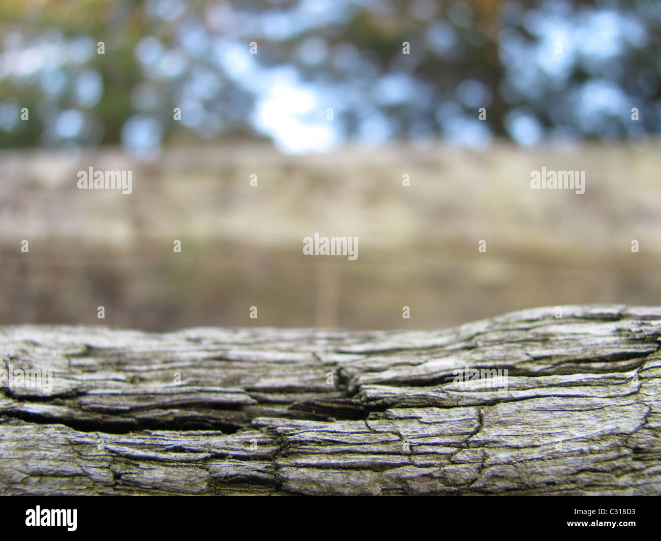 Splintery wood hi-res stock photography and images - Alamy