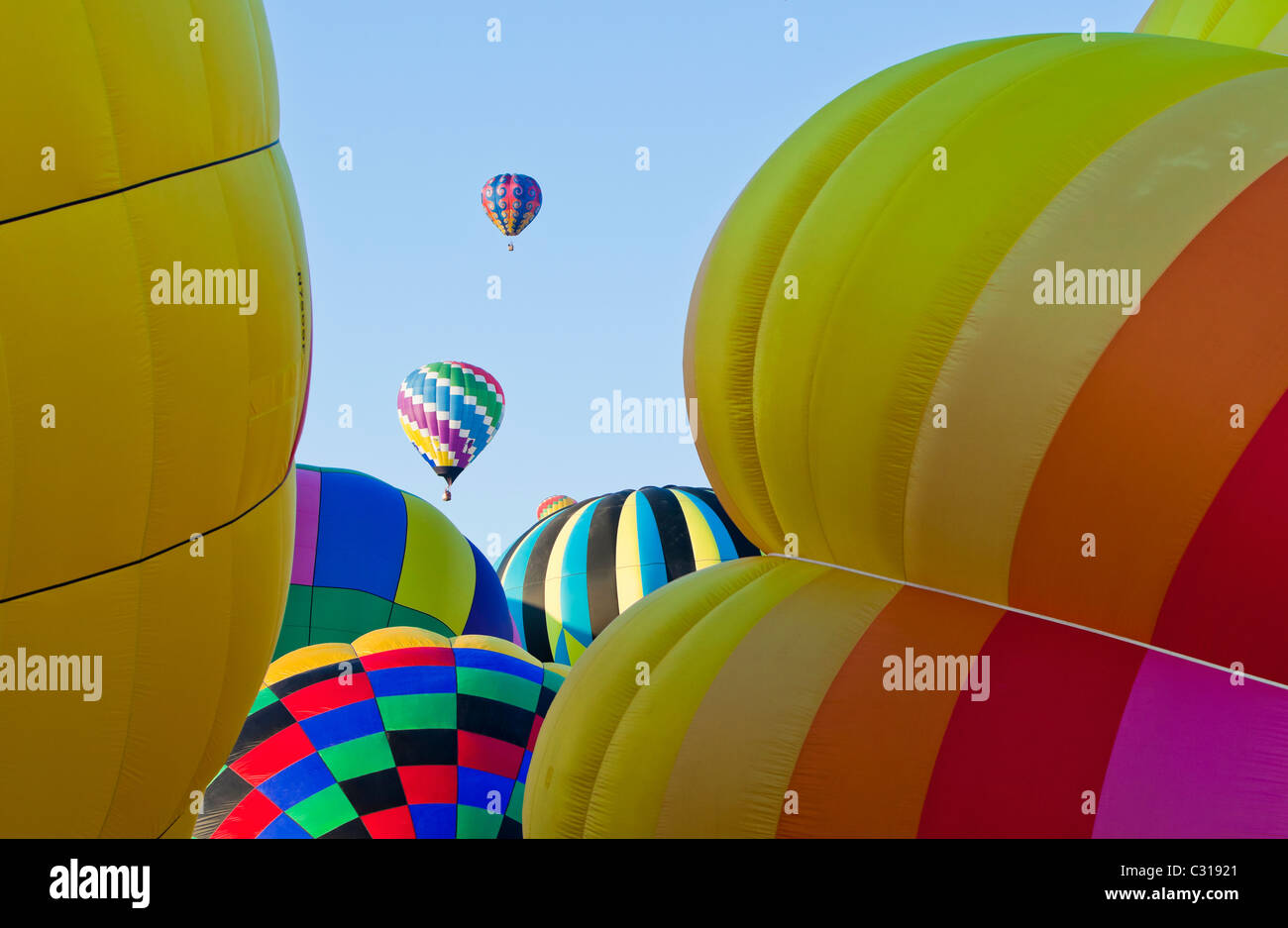 Detail of colorful balloons as they are being set up at the Albuquerque ...