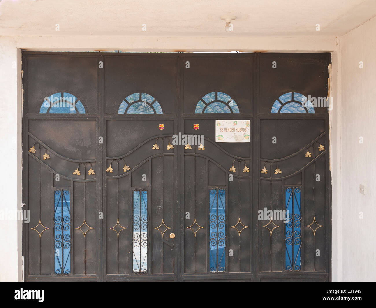 Fancy black metal doors are decorated with gold colored appointments ...