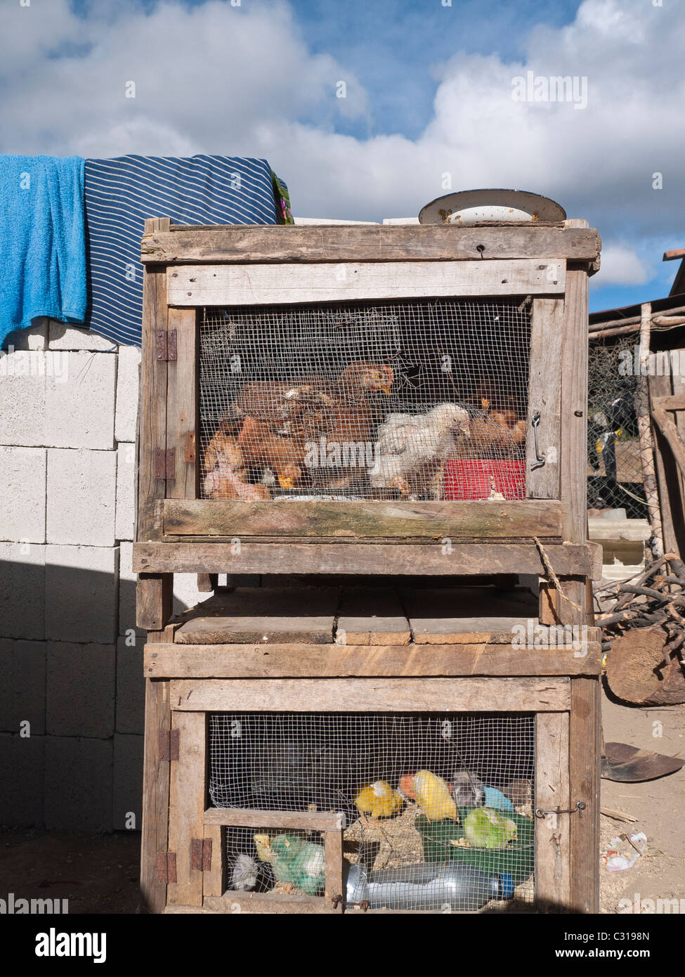 Baby cage outside hi-res stock photography and images - Alamy