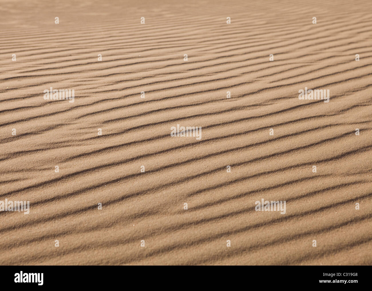 Wind ripples on desert sand - Mojave desert , California USA Stock ...