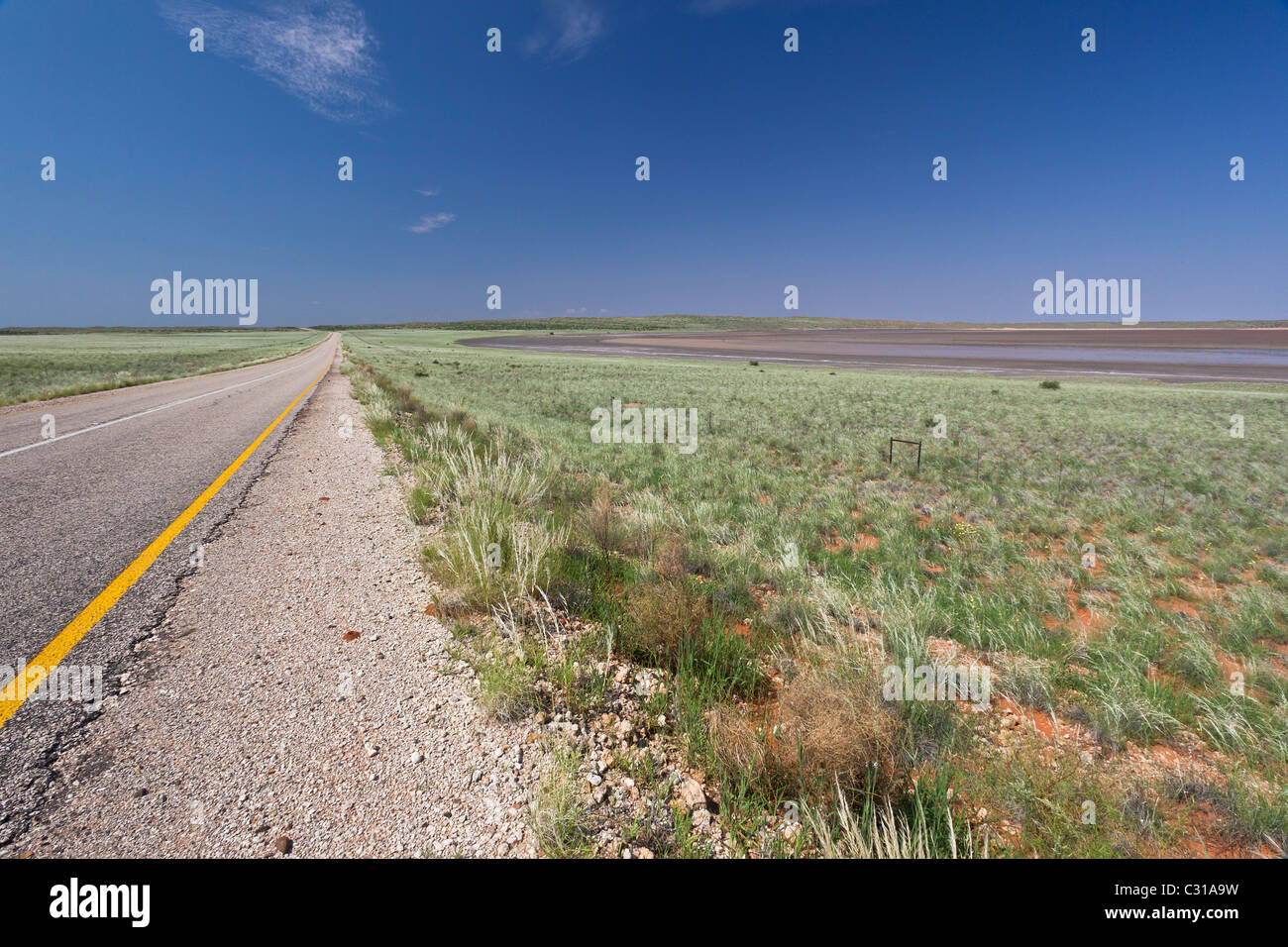 Salt pan left by evaporating rain water in Bushmanland, in the northern ...