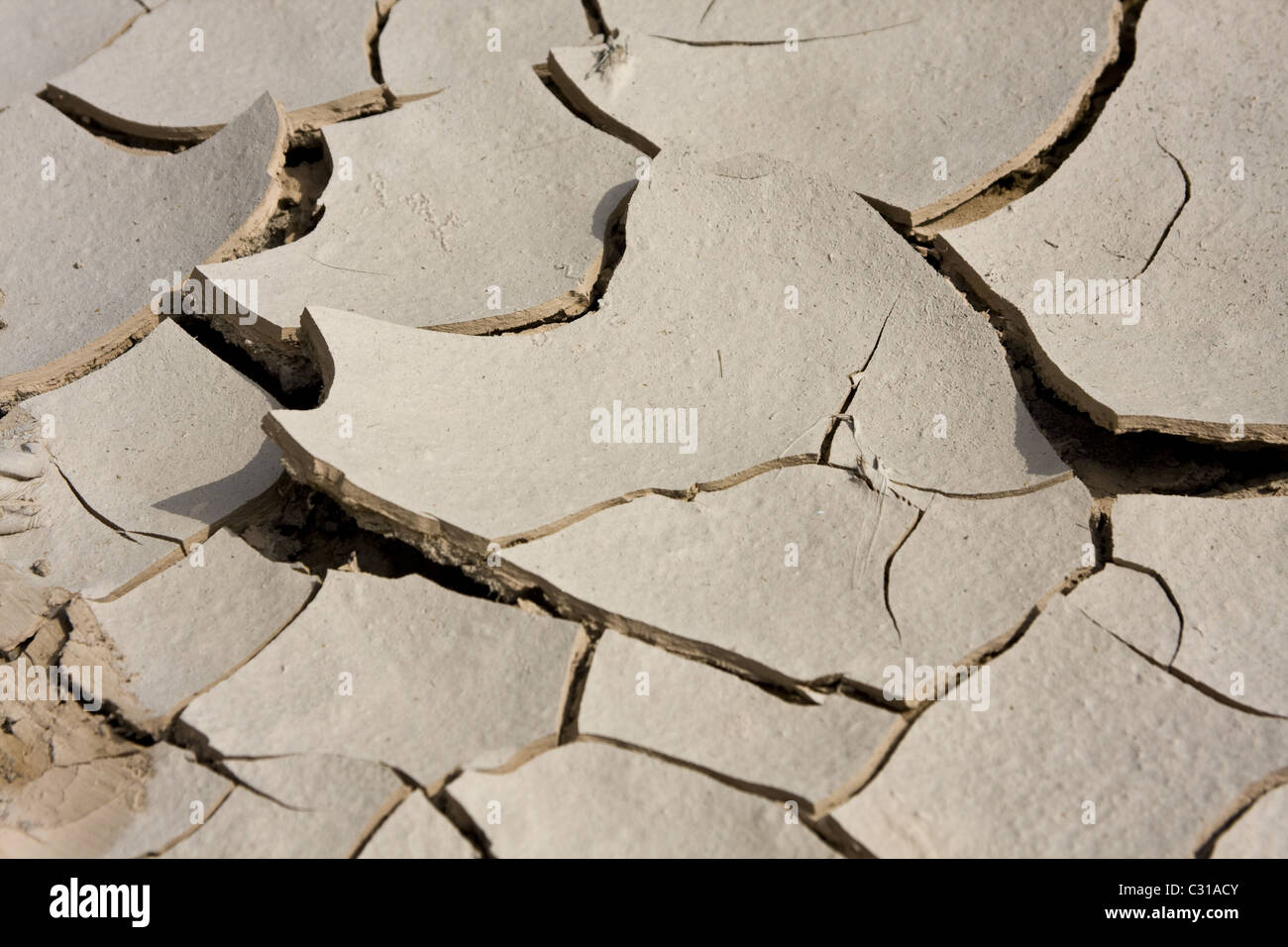 Parched land hi-res stock photography and images - Alamy
