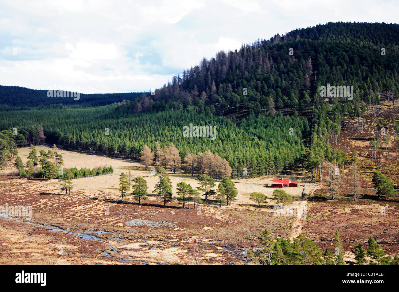 A view towards Felagie from the side of Craig Leek on the Keiloch Crag ...