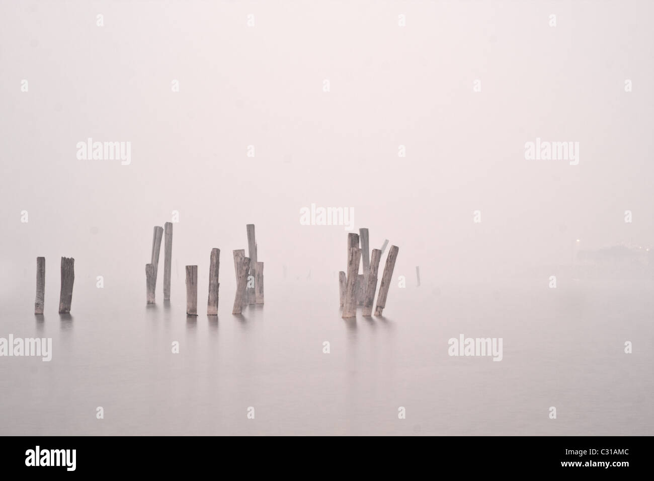 Wood in water in mist Stock Photo - Alamy