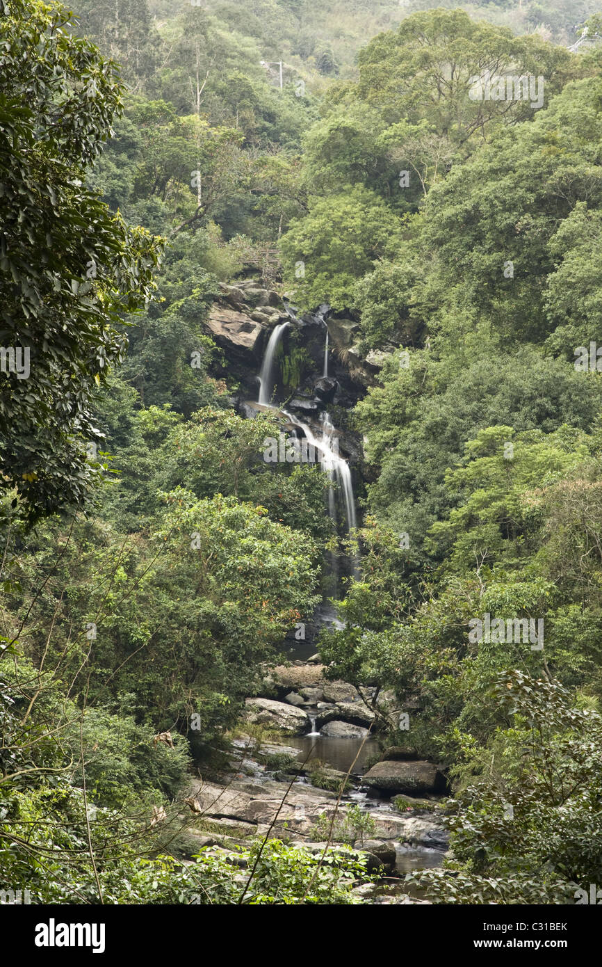 A water spring in forest Stock Photo - Alamy