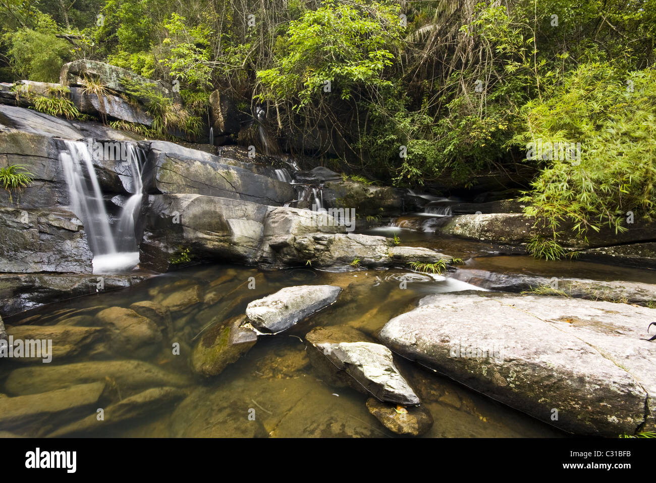 It is a water spring in forest Stock Photo - Alamy