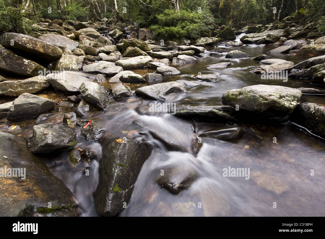 It is a water spring in forest Stock Photo - Alamy