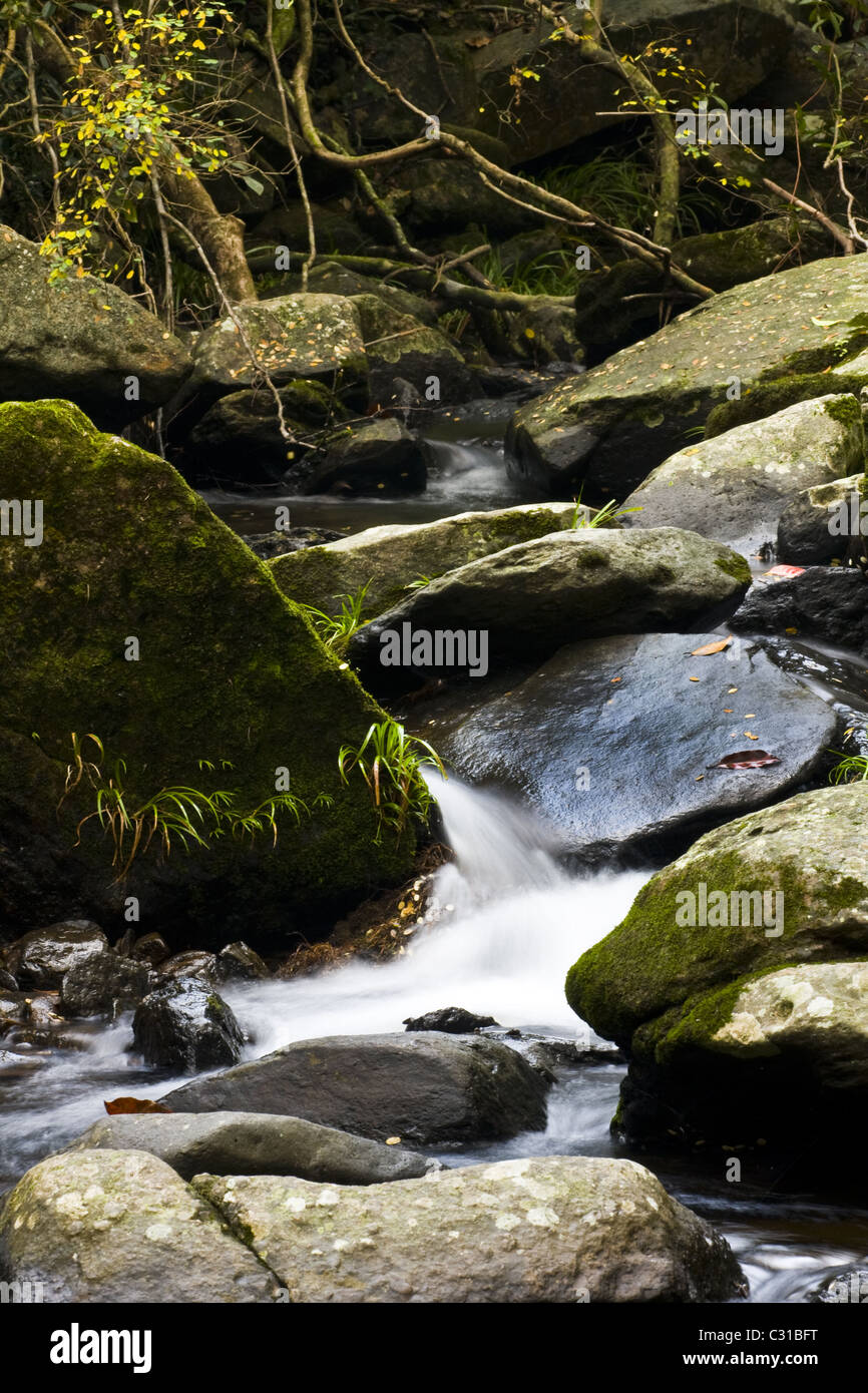 It is a water spring in forest Stock Photo - Alamy