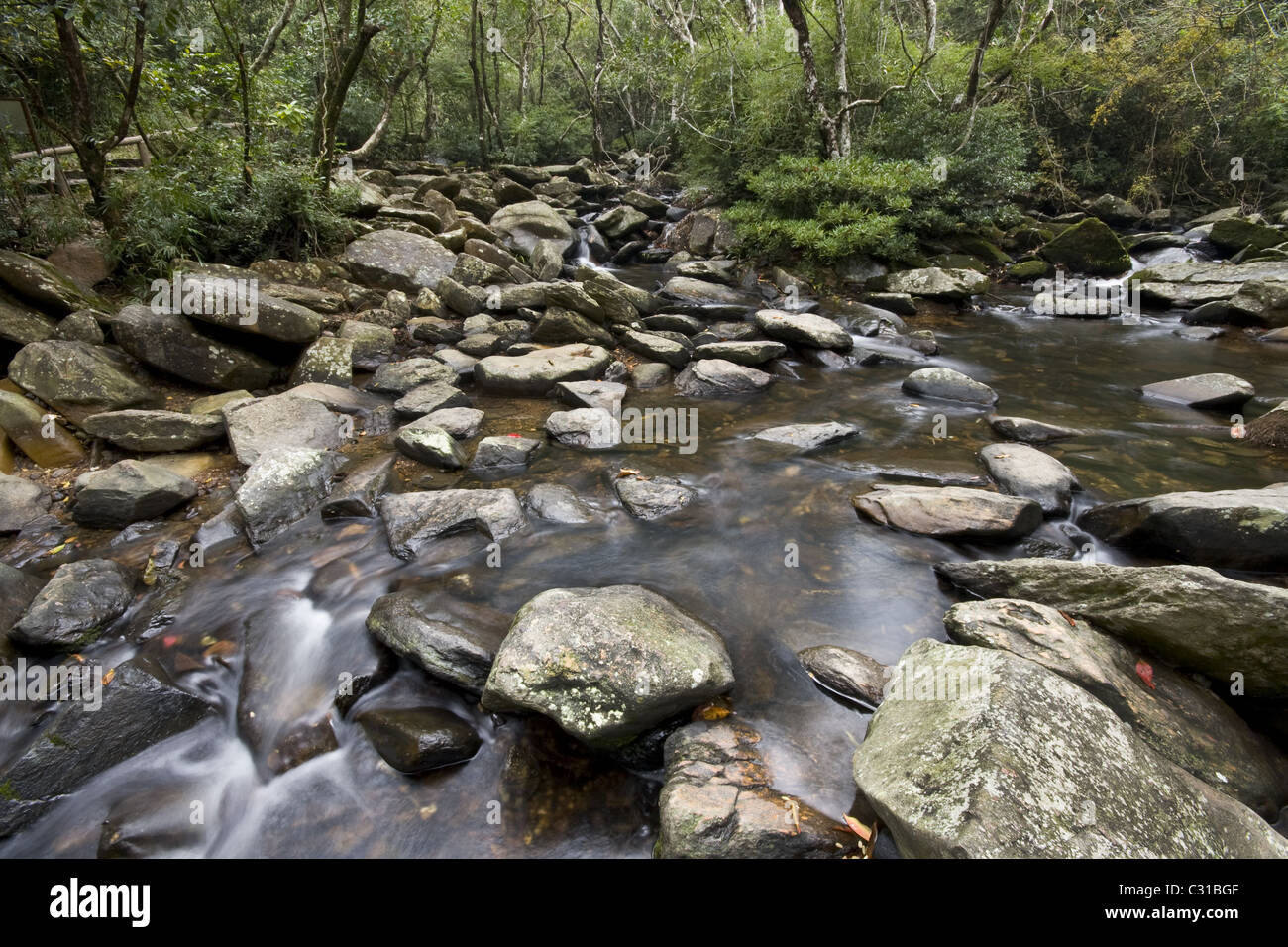 It is a water spring in forest Stock Photo - Alamy