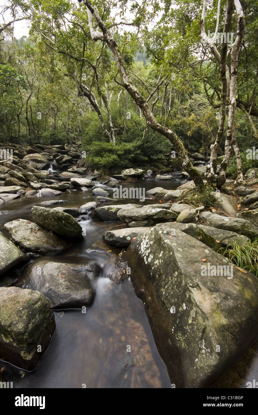 It is a water spring in forest Stock Photo - Alamy
