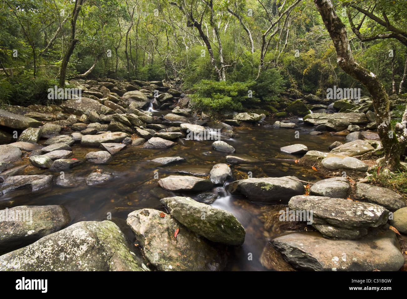 It is a water spring in forest Stock Photo - Alamy