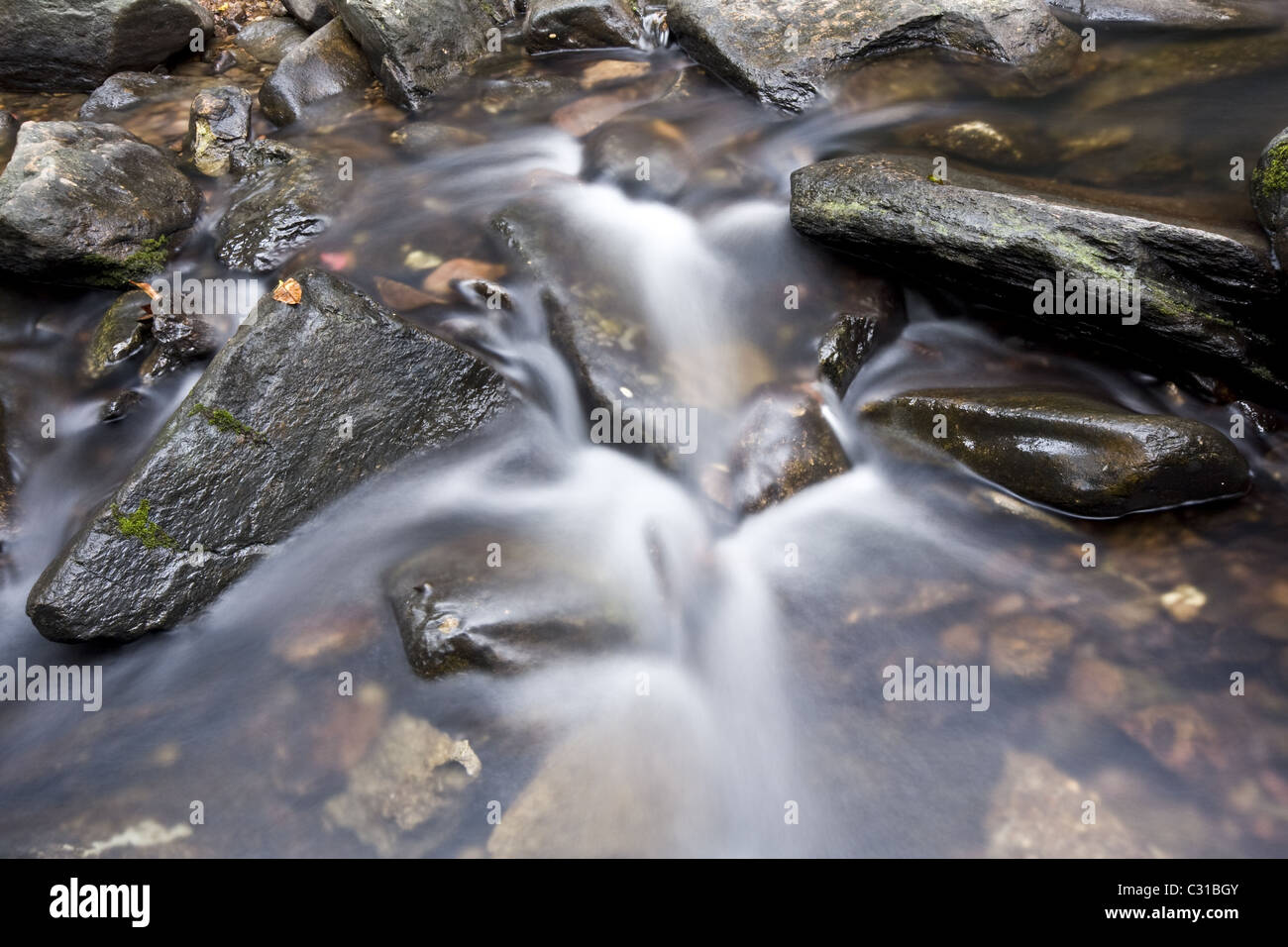 A water spring in forest Stock Photo - Alamy