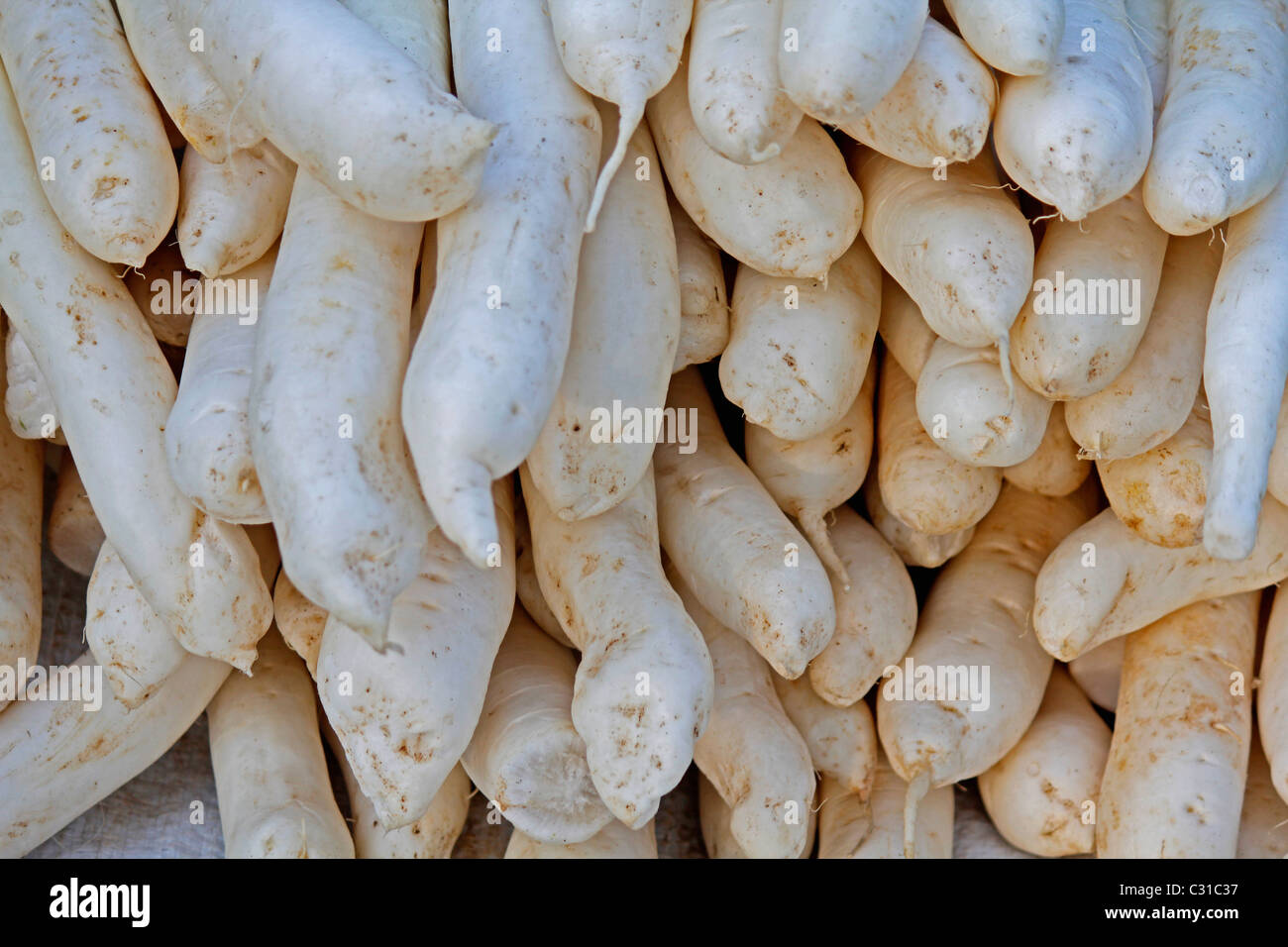 Full frame view of White Radish in a market stall, Miao, Arunachal ...