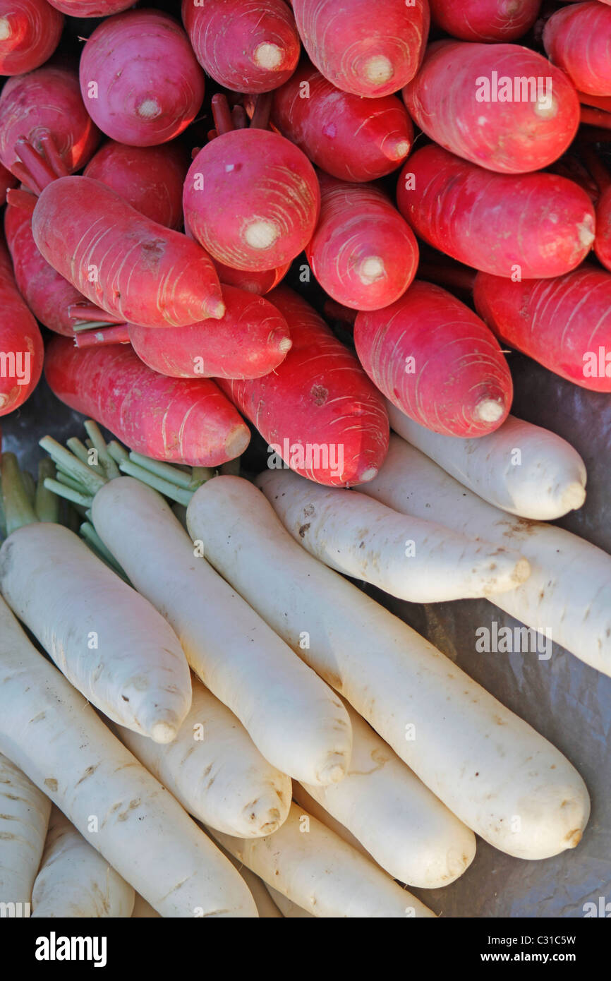 Full frame view of Red and White Radish in a market stall, Miao ...