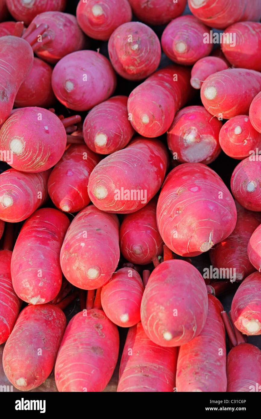 Full frame view of Red Radish in a market stall, Miao, Arunachal ...