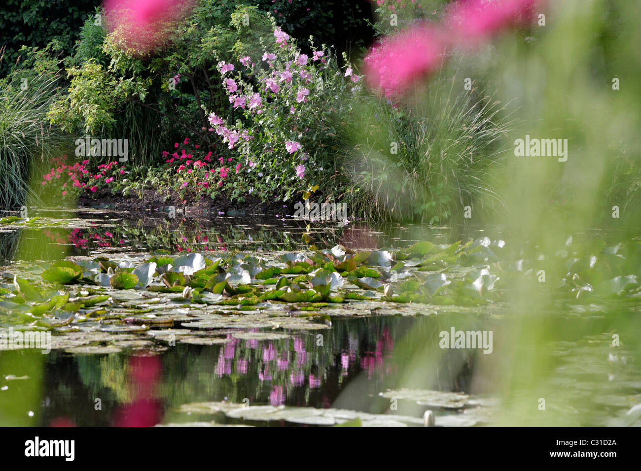 THE WHITE WATER LILY POND IN THE IMPRESSIONIST PAINTER CLAUDE MONET'S ...