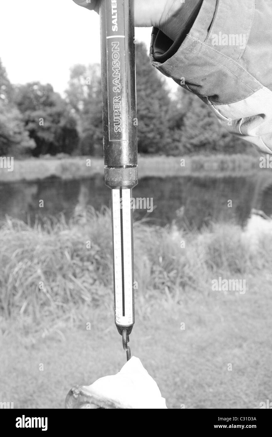 Fly fishing fly Black and White Stock Photos & Images - Alamy
