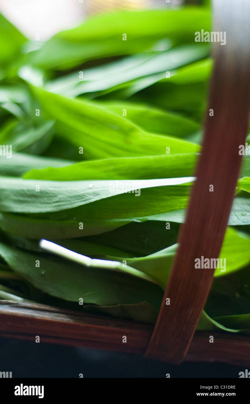 Ramps hi-res stock photography and images - Alamy