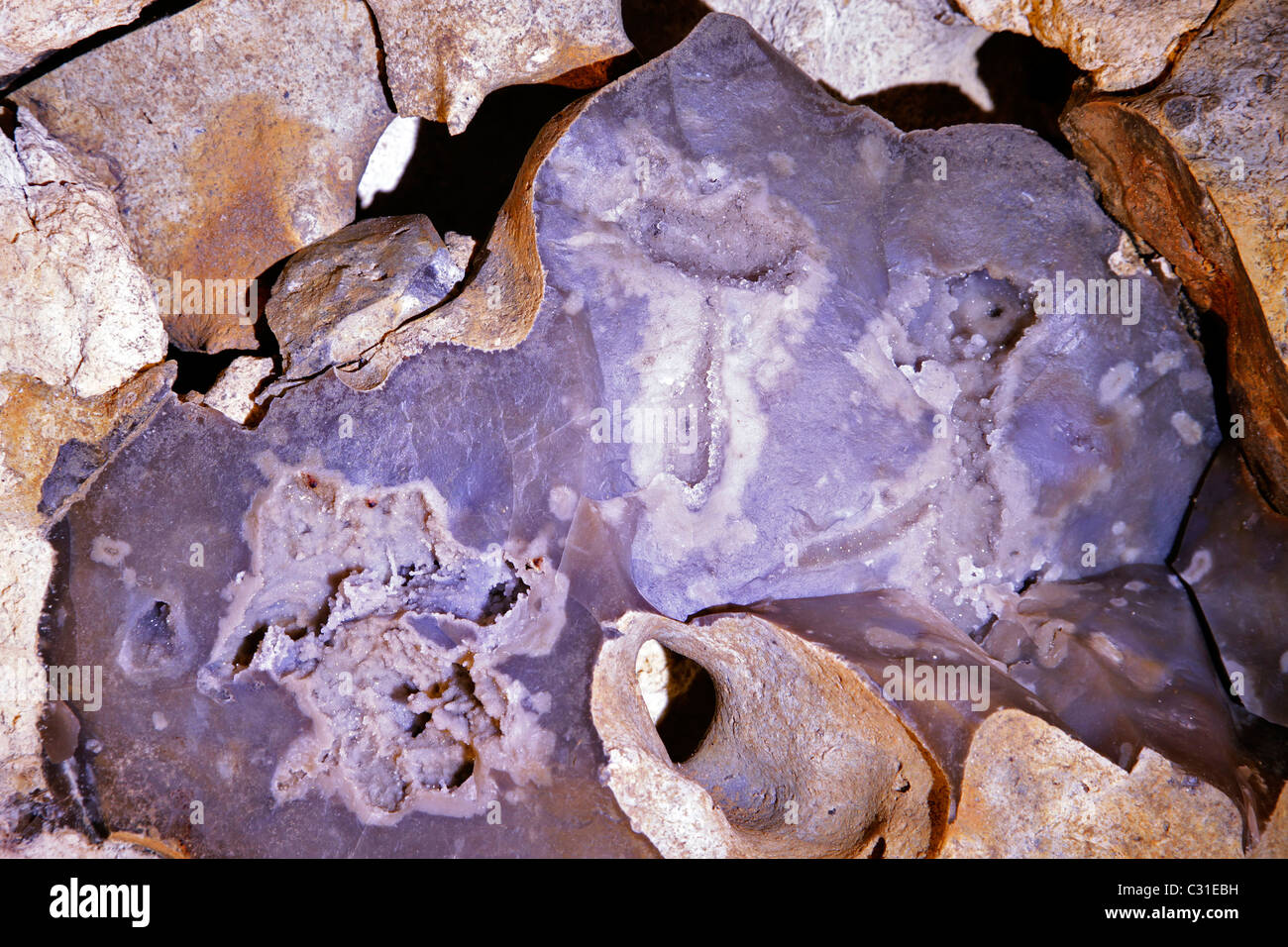 MARINE GEODES, THE FOULON CAVES, LIMESTONE GEOLOGICAL SITE, CHATEAUDUN ...