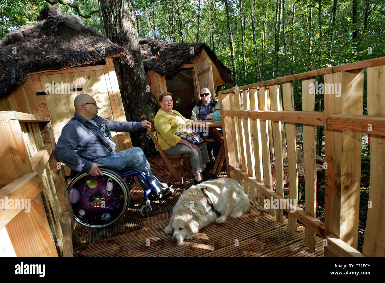 Physically impaired people in a treehouse with access for the ...