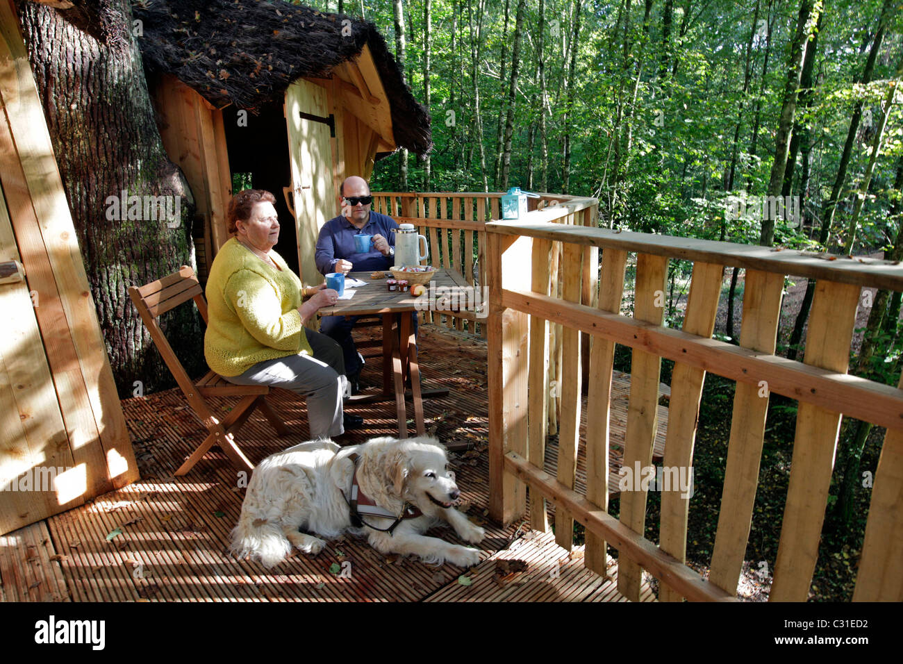 Blind and partially sighted people on the access ramp hi-res stock ...