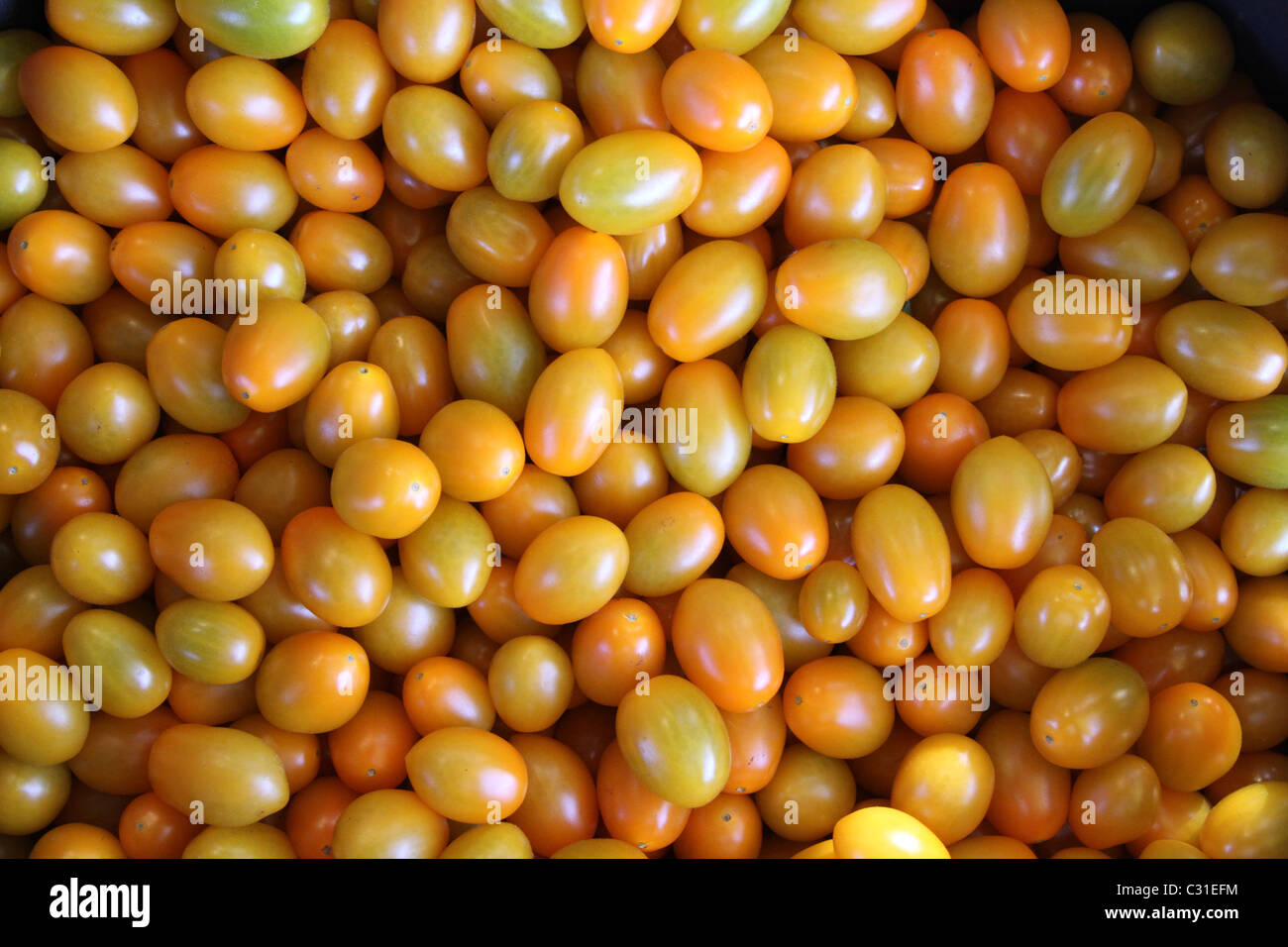 Box full of small yellow tomatoes Stock Photo - Alamy