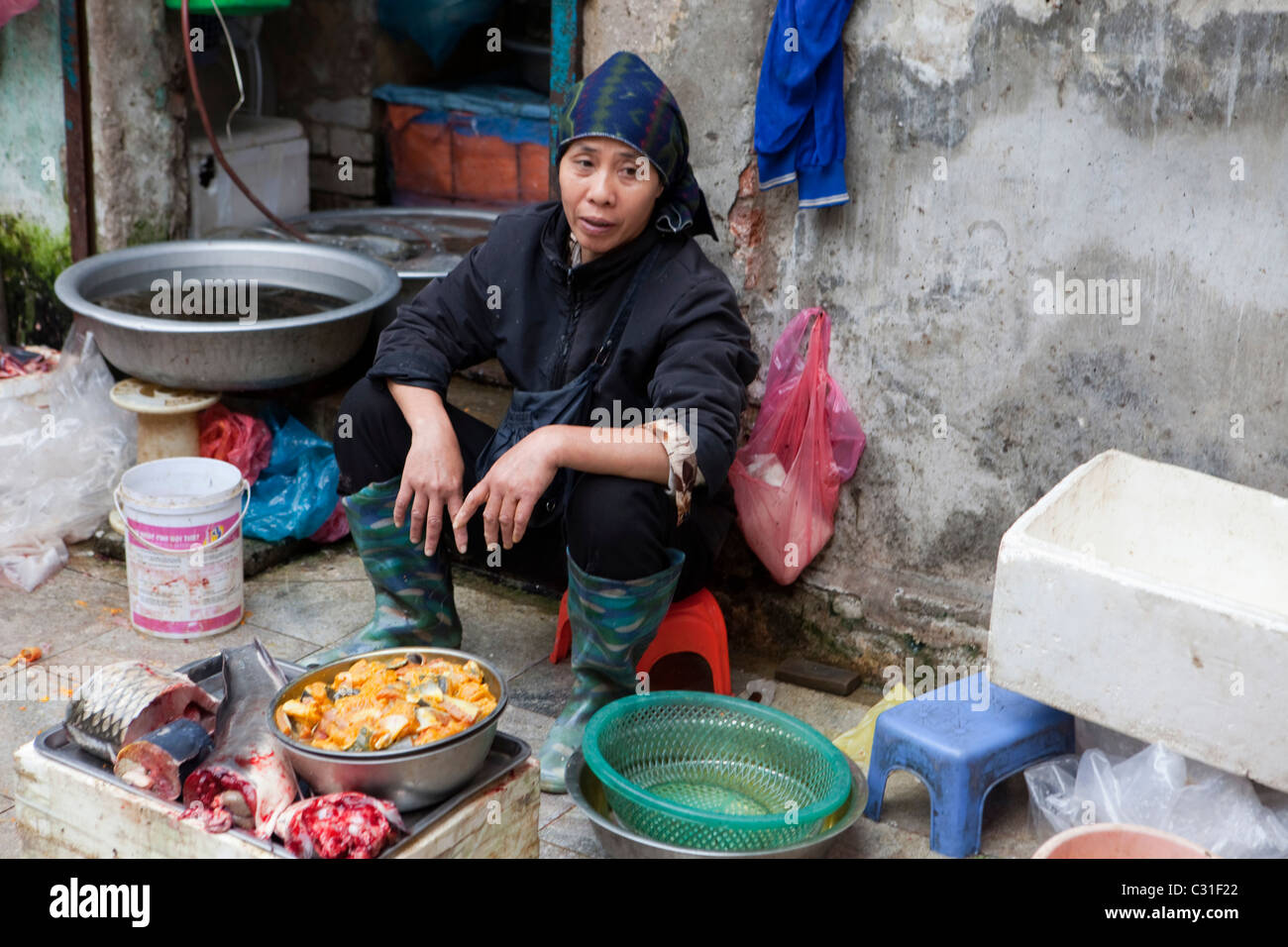 Meat vendor, Hanoi, Vietnam Stock Photo - Alamy