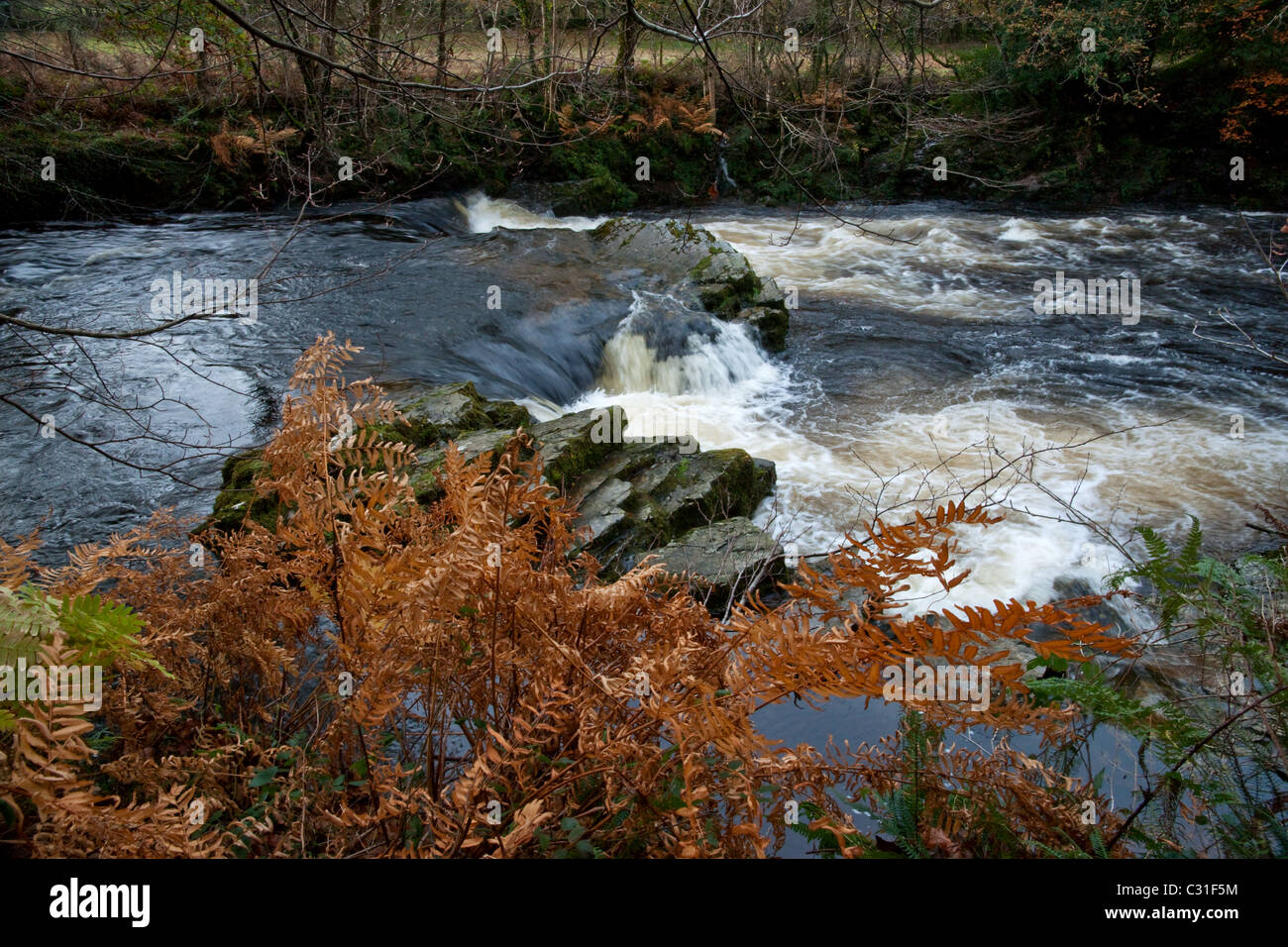 A landscape shot and side view of the River Dart in Dartmoor National ...